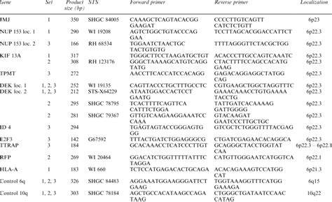 Primer Sequences Pcr Product Sizes And Sts Id According To Ncbi Of The
