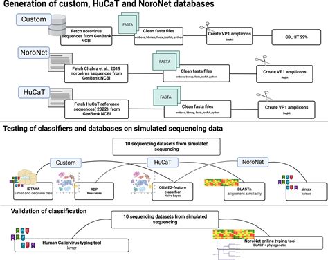 Benchmarking Bioinformatic Tools For Amplicon Based Sequencing Of