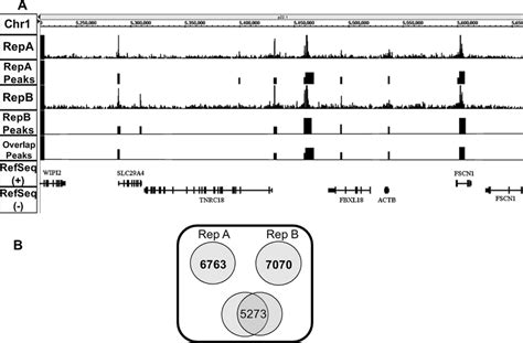 Reproducibility Of The Znf263 Chip Seq Experiments A Chip Seq