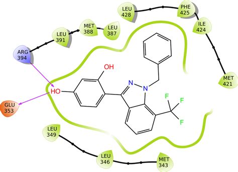 2d Representation Of Protein And Co Crystallized Ligand Interactions