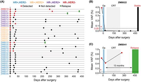 Longitudinal Monitoring Of Circulating Tumor Dna Ctdna And Clinical