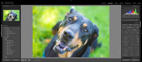 5 post processing effects to instantly enhance your photos