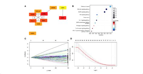 enrichment analysis of irgs and lasso cox regression analysis a