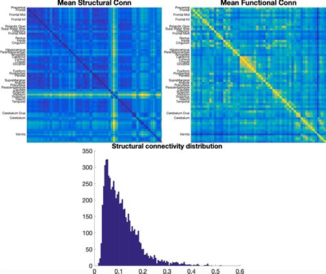 Average Structural Left And Functional Right Connectivity Matrices