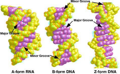 A Rna Structure