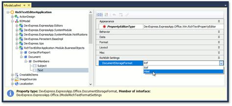 how to customize the rich text editors expressapp