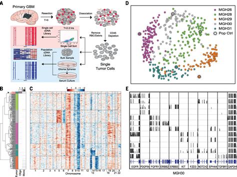 single cell rna seq highlights intratumoral heterogeneity in primary