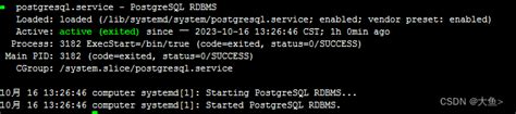 记一次关于应用程序无法连接postgresql数据的问题排查 connections on unix domain socket var