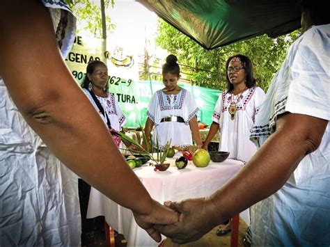 Un Sueño En Caña Flecha Lideresas Zenúes Tejen Su Historia De Resiliencia
