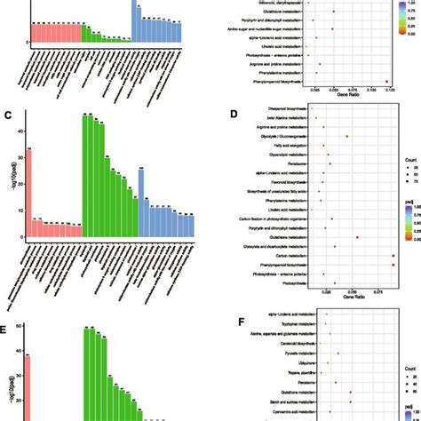 Correlation Analysis Between Proteome And Transcriptome By Venn