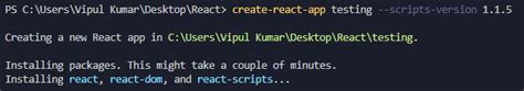 reactjs what exactly is the script version command line option