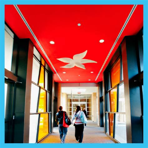 Our Guiding Principles Centre For Human Rights Equity And Inclusion