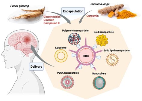 Encapsulation Of Bioactive Compounds From Various Herbal Extracts With