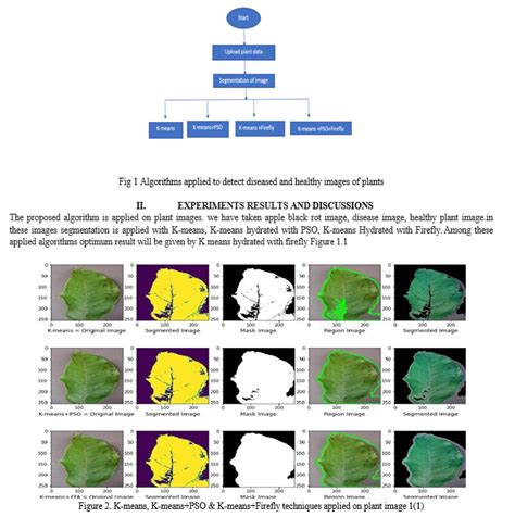 plant disease image segmentation applying the k means algorithm