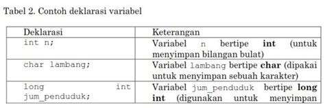 Mengenal Macam Tipe Data Dan Variabel Dalam Pemrograman Kulturaupice