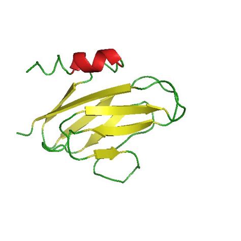 3d Structure Of Hypothetical Protein P03263 Predicted From I Tasser