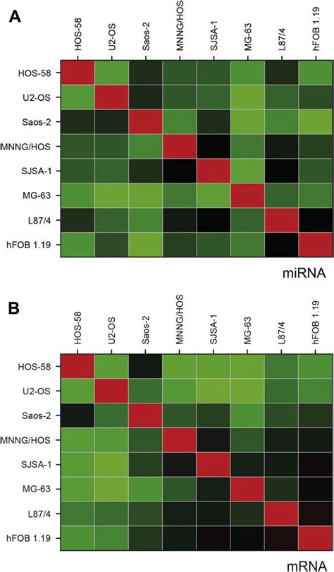 Correlation Heat Maps Pearson Demonstrate The Similarity Of Mirna A