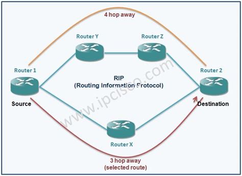 a diagram showing the router and routers in different directions with