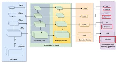 Yolo Pose Architecture Based On Yolov5 Input Image Is Passed Through