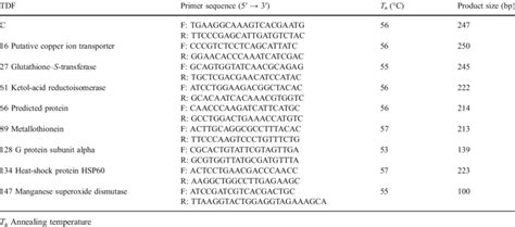 Primer Combinations Used For Rt Pcr Verification Of Differentially