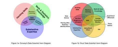 the role of the data scientist science