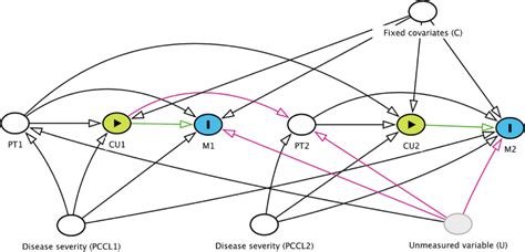 Causal Dag For Time Varying Exposure Time Varying Confounders And
