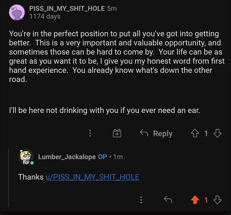 Sobriety Is Hard Supportive People Make It Easier R Rimjob Steve