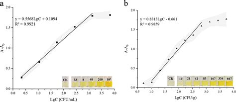 Calibration Curve Of The Different Target Concentrations And The