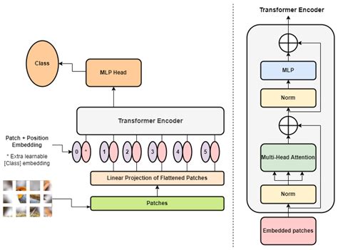 Applied Sciences Free Full Text Comparing Vision Transformers And