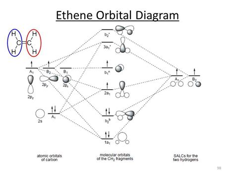 Understanding The Tin Orbital Diagram A Complete Guide For Beginners