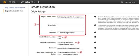 set a signed cookie for cloudfront with a custom policy using the aws