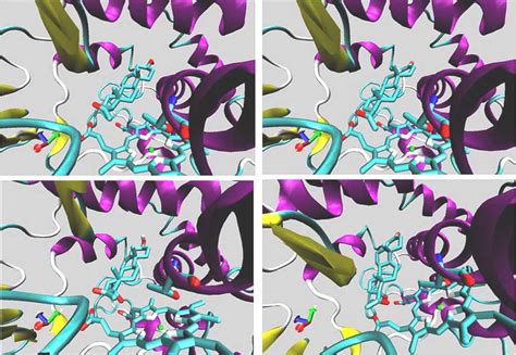 Docking Conformations Of Known Substrates Of Cyp17 A Pregnenolone