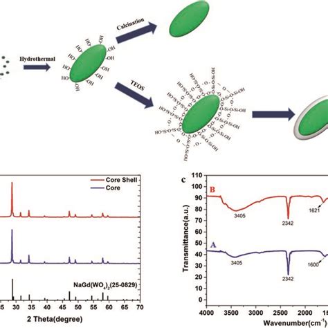 Characterizations For The Core Ngw Yb³⁺ Er³⁺ And The Core Shell