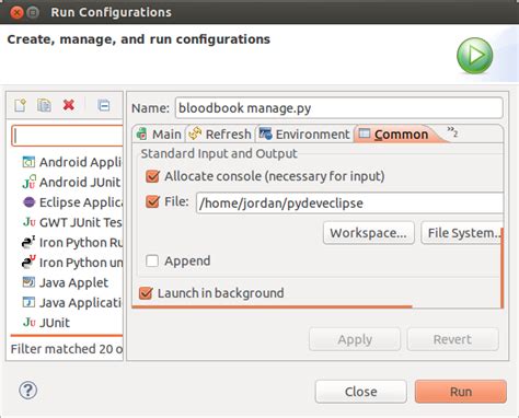 python how to pass a program argument via run configuration in