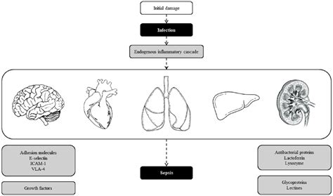 Searching For Highly Sensitive And Specific Biomarkers For Sepsis