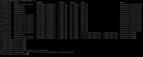 error response from daemon cannot kill containers permission denied