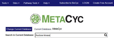 Metacyc Web Querying Examples