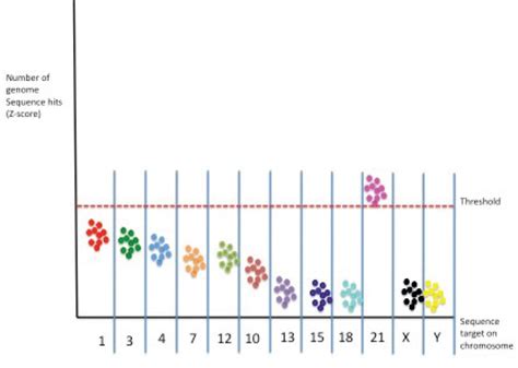 Schematic Representation Of Next Generation Sequencing Based Approaches