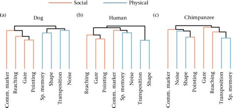 Complete Linkage Dendrograms For Eight Cognitive Measures Implemented