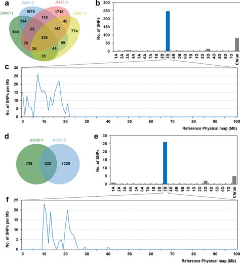 Overview Of The Distribution Of Snps Between The Dwarf And Tall Bulks