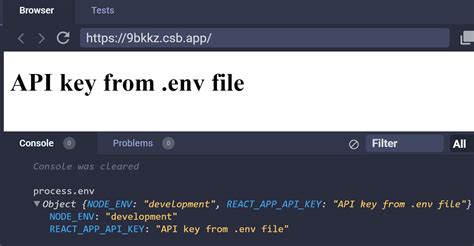 reactjs why my environmental variable is returning undefined using