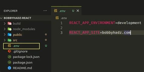 react not reading env file environment variables [solved] bobbyhadz