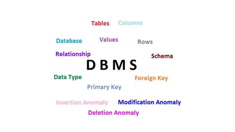 database management system basics youtube