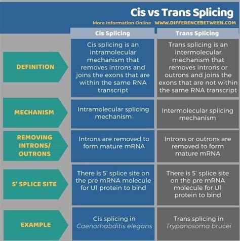 Cis Vs Trans Splicing Tabular Form