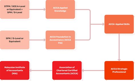 Image result for ACCA Programme Structure