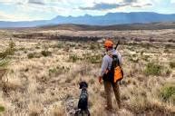 Image result for Prairie Dog Hunting Tips