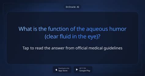 Image result for Aqueous Humor Eye Function