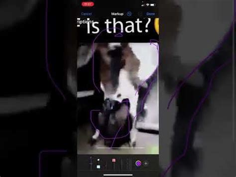 Image result for Slapped Ham Reactions