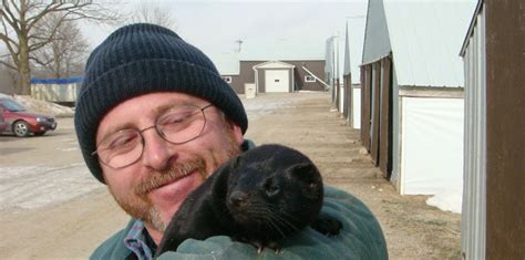 Image result for Fur Tree Farming