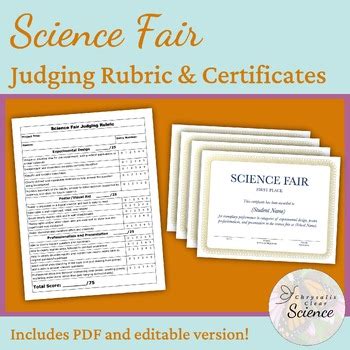 Image result for Science Judging Fair Example